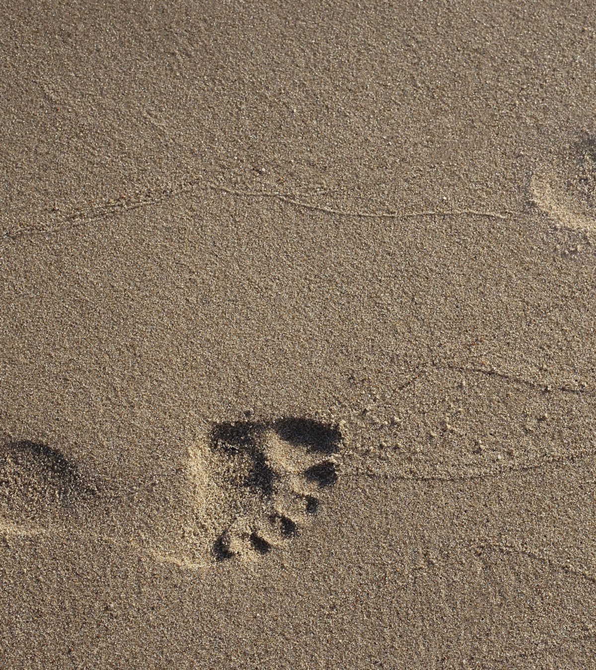 Discover Rhea – Rhea Vendors Group