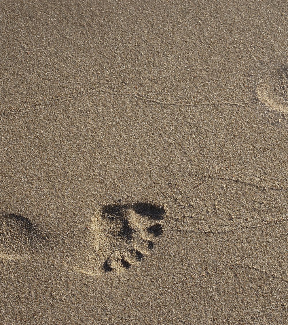 Scopri Rhea – Rhea Vendors Group