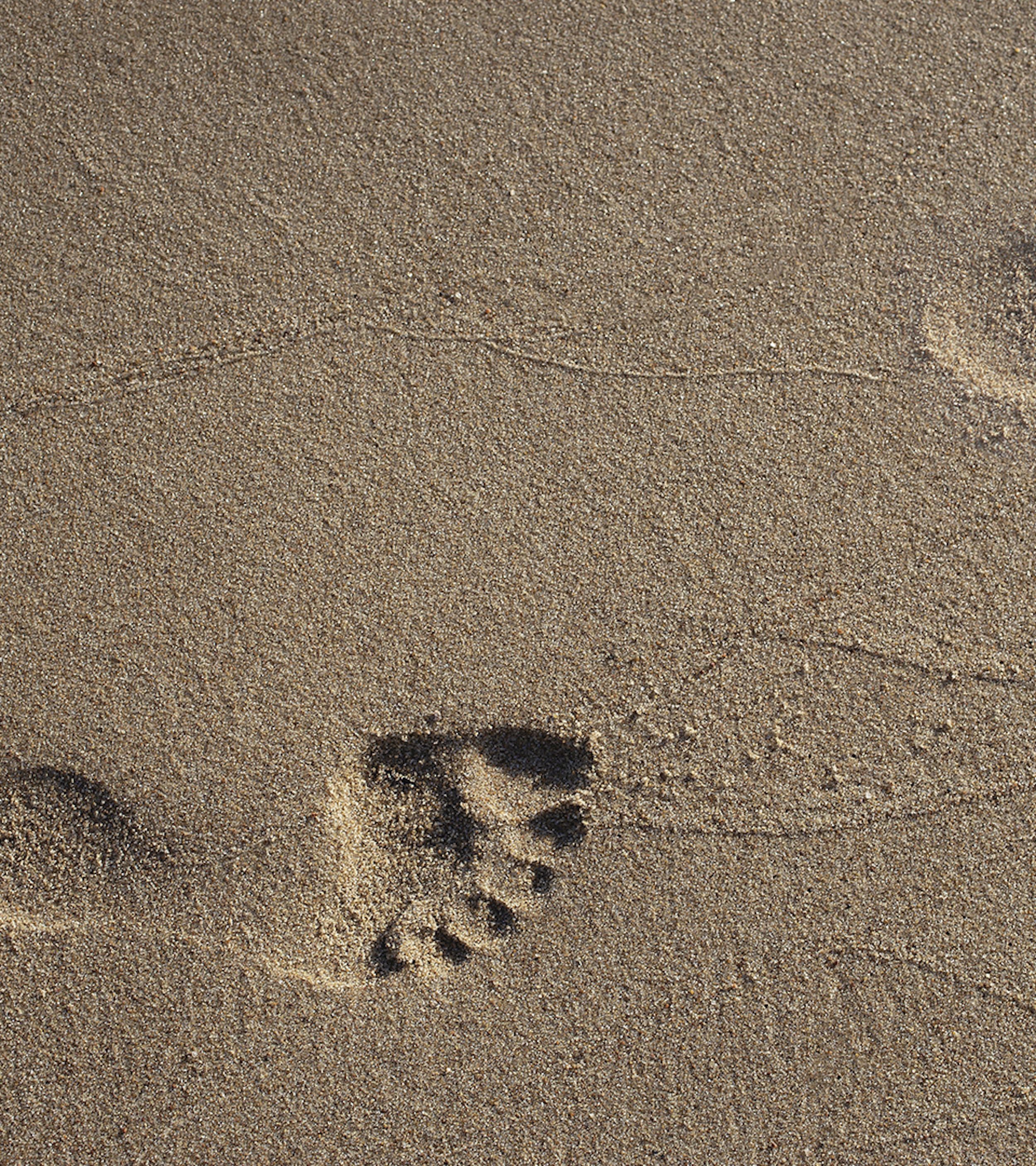 Scopri Rhea – Rhea Vendors Group